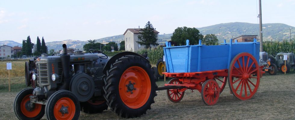ASI Musei - Landini L 35 con carro